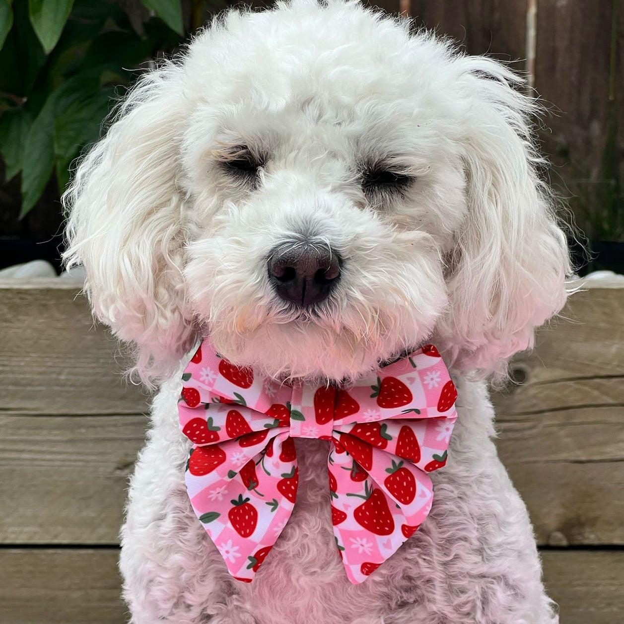 Berry Good Strawberry Sailor Bow – Syd&Co